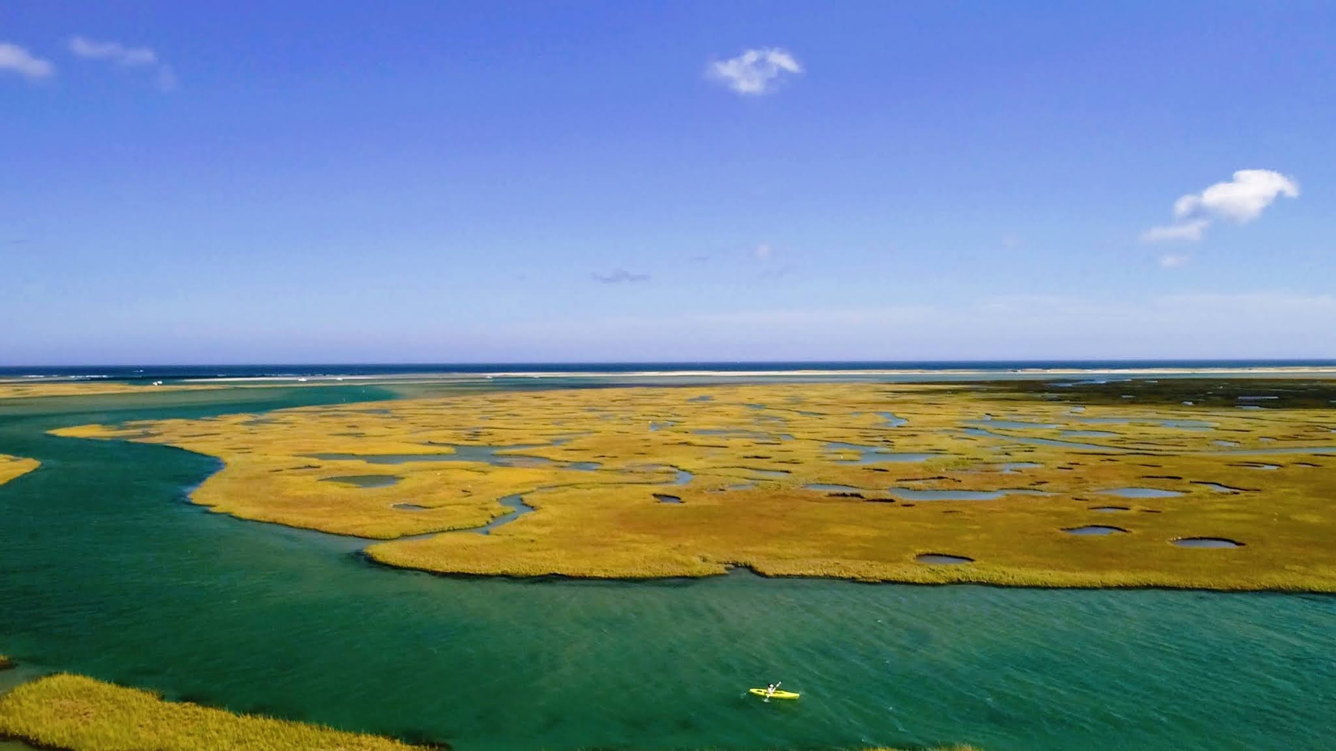 Great Marsh Kayak Tours - Cape Cod